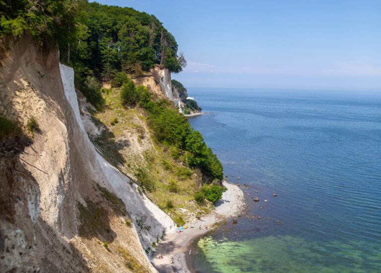 6 praktische tips om het milieu te beschermen op Wereld Milieu Dag